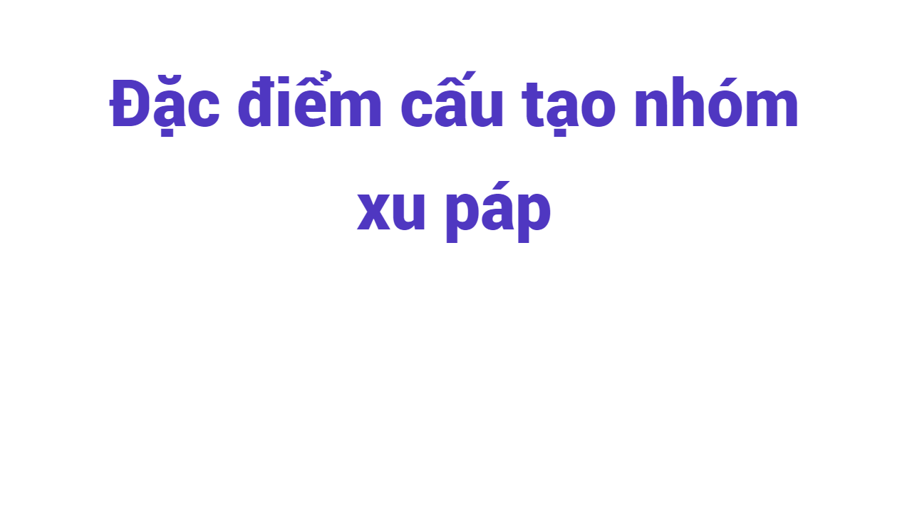 (2025) Đặc điểm cấu tạo nhóm xu páp